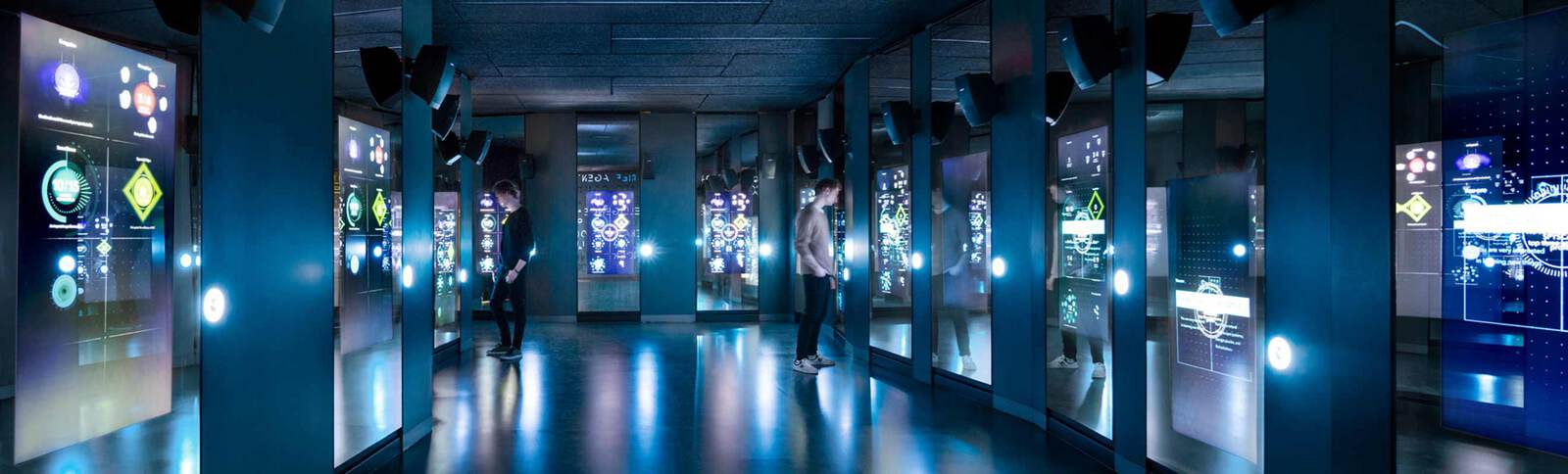 Your Profile Explained