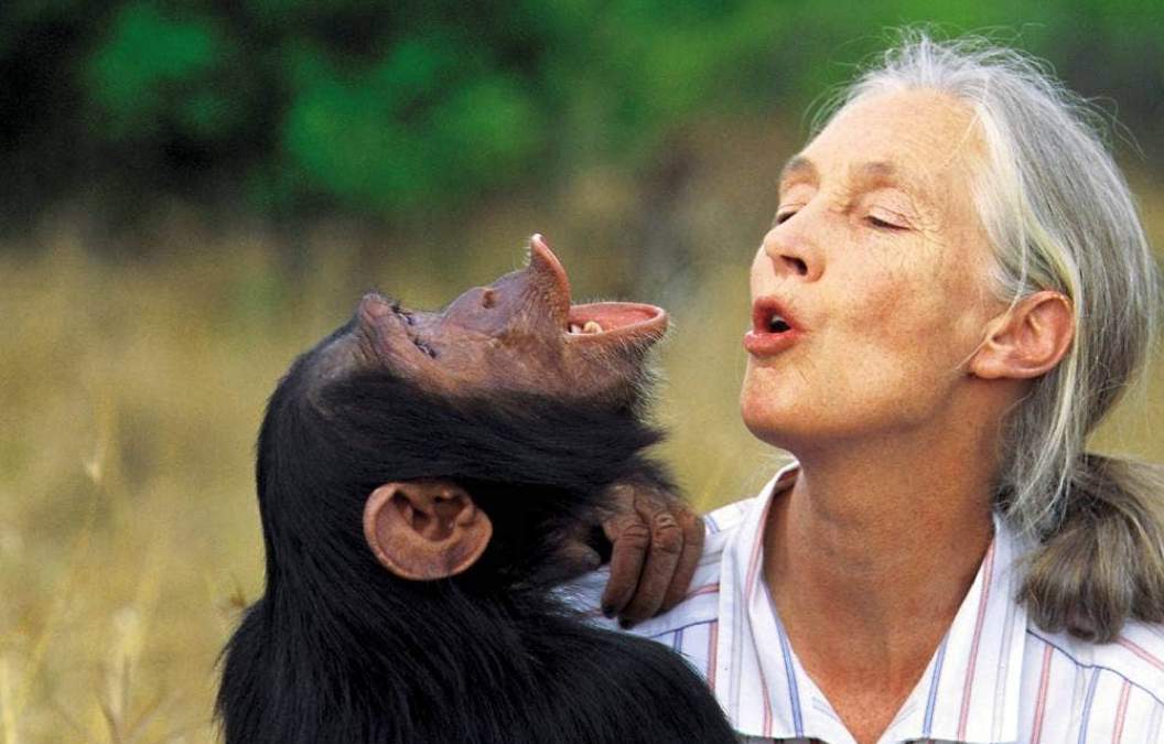 Jane Goodall: A True Superhero & Visionary Pioneer of Environmentalism