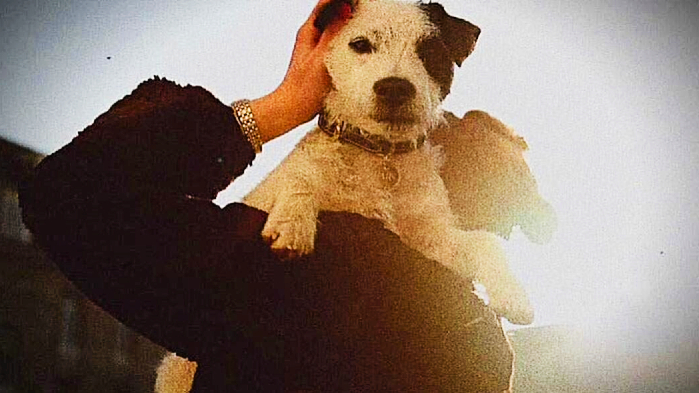 Operation Fortitude: The D-Day Misfit Spies